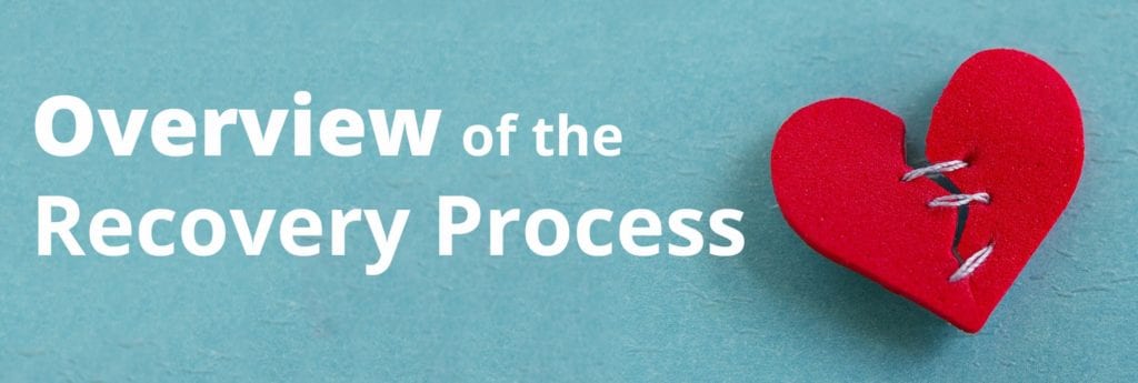 Overview of the Recovery Process- Amethyst Recovery