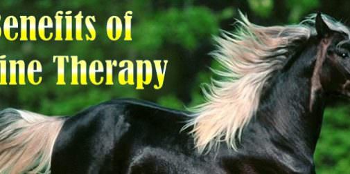 Benefits of Equine Therapy - Amethyst Recovery Center