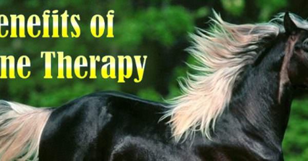 Benefits of Equine Therapy - Amethyst Recovery Center