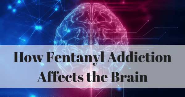 How Fentanyl Addiction Affects the Brain - Amethyst Recovery Center